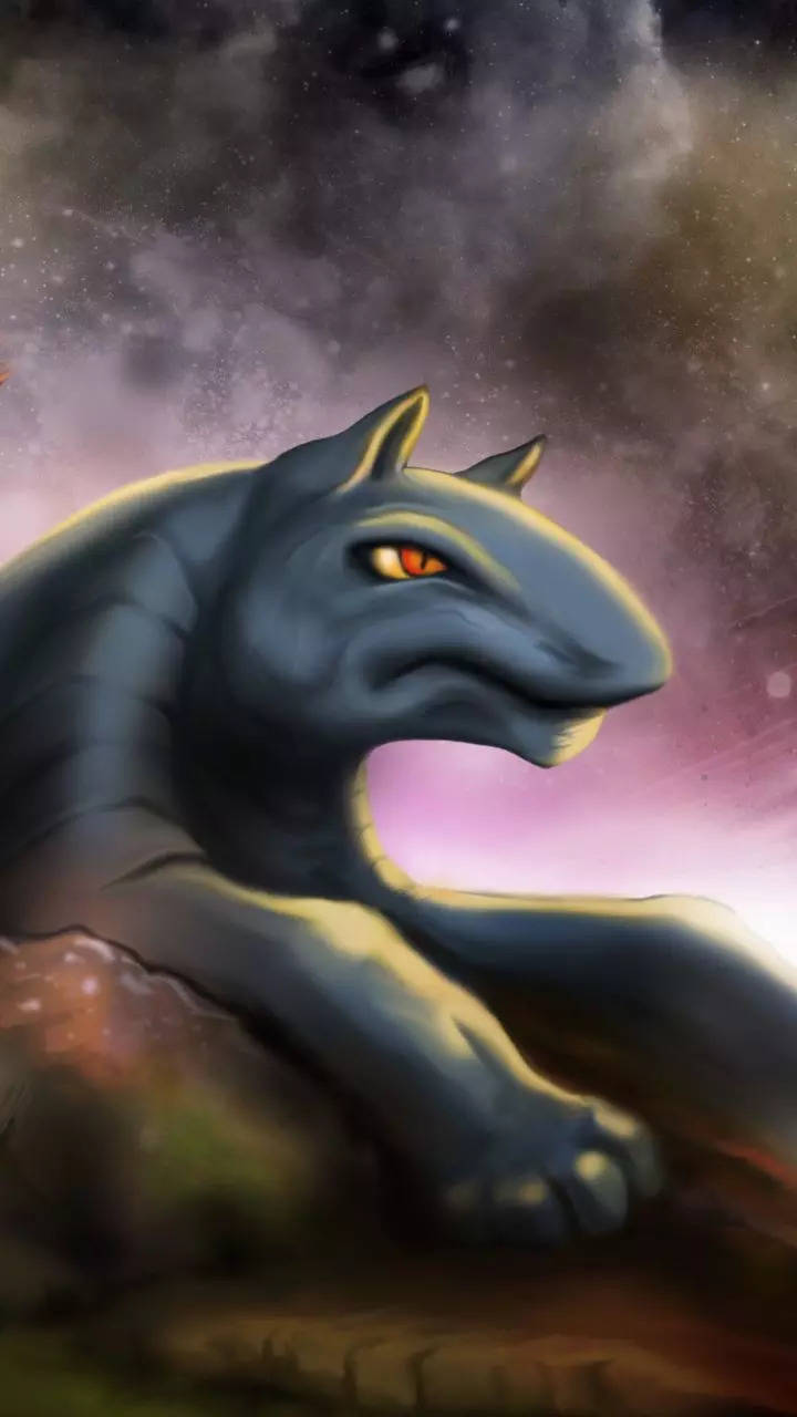 11 animals that look like they belong to a fantasy world