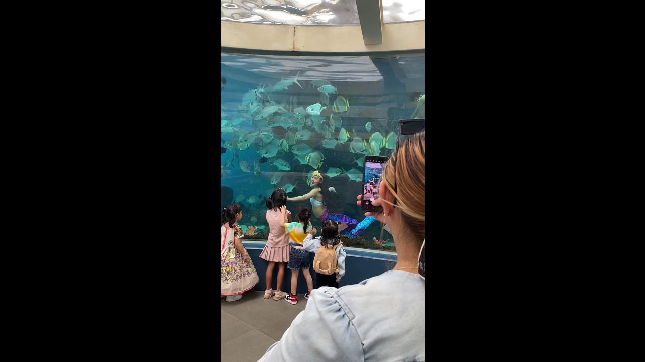 Sweet mermaid delights little girls at ocean park