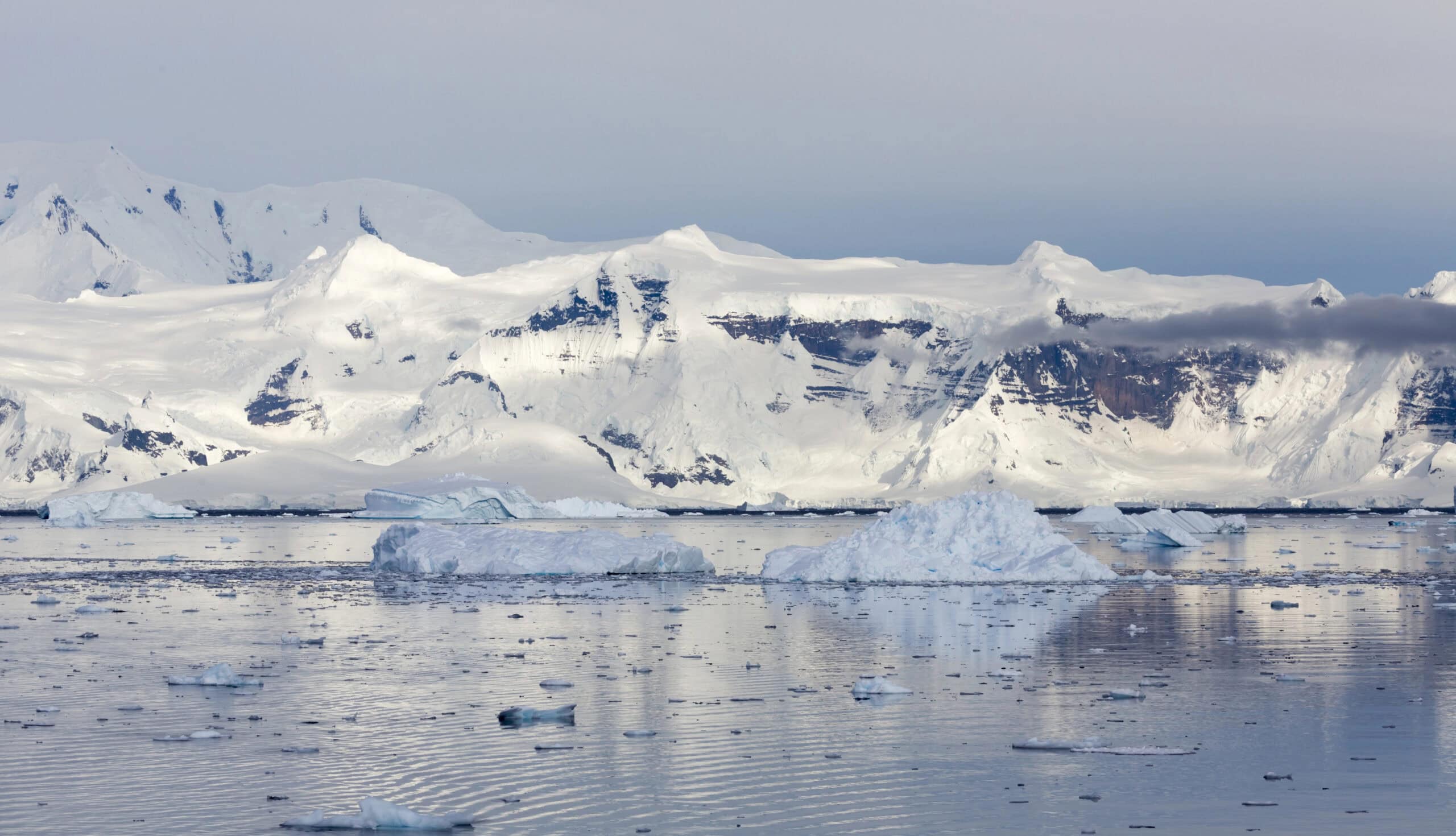 Hidden Worlds Beneath the Ice The Secret Ecosystems of Antarctica