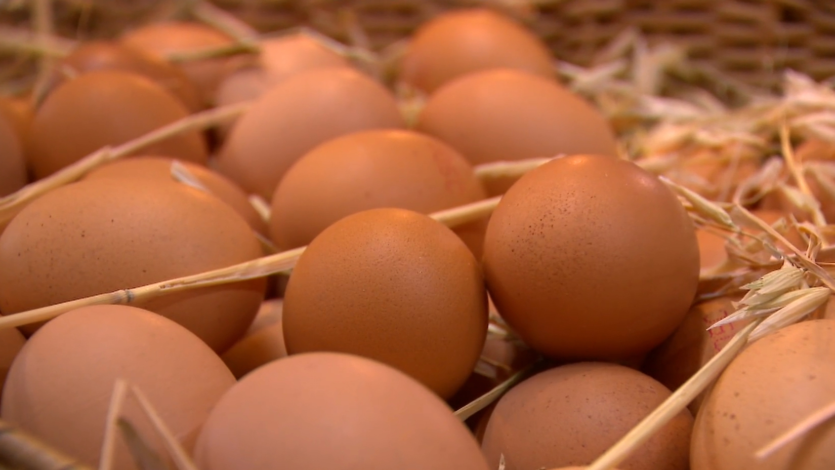 Egg shortage shows no signs of letting up as supermarkets continue ...