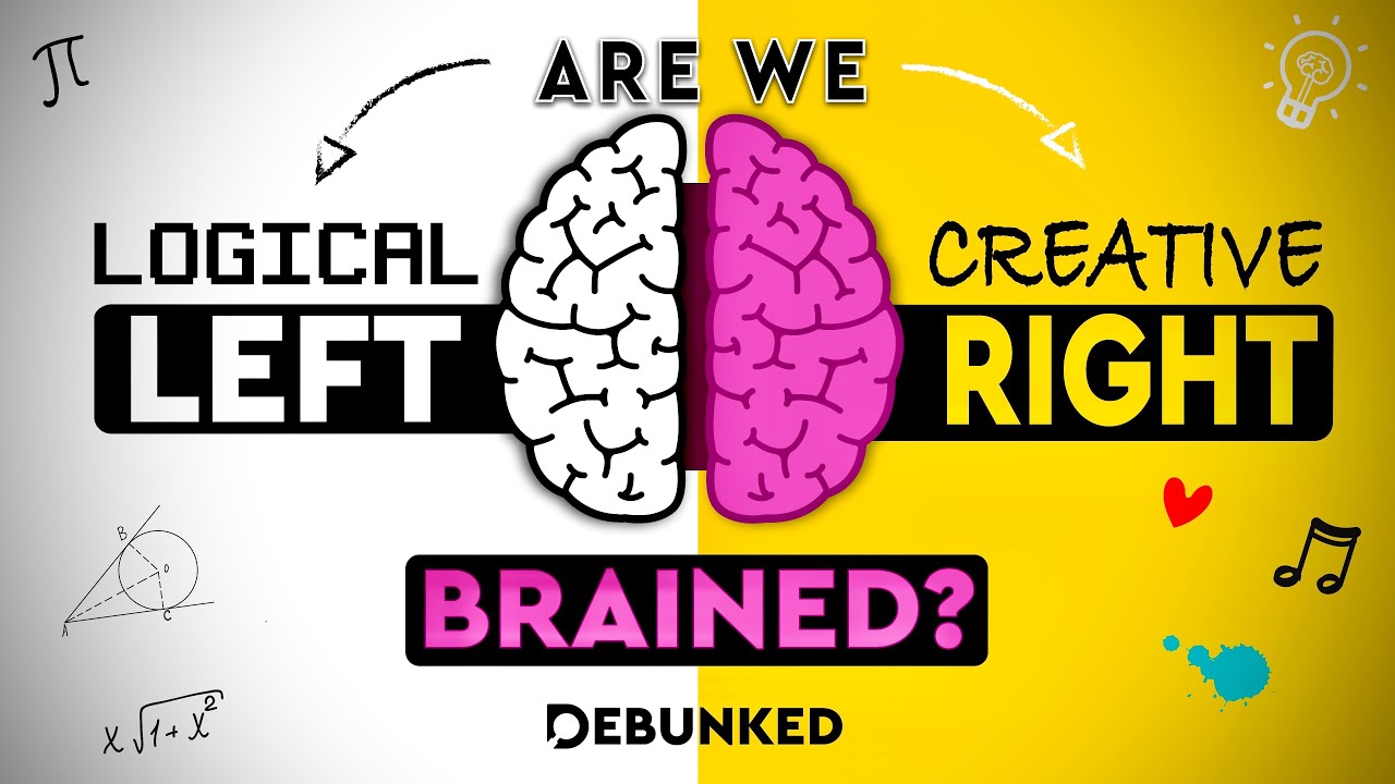 Left Brain vs. Right Brain: Why This Popular Belief Is Wrong