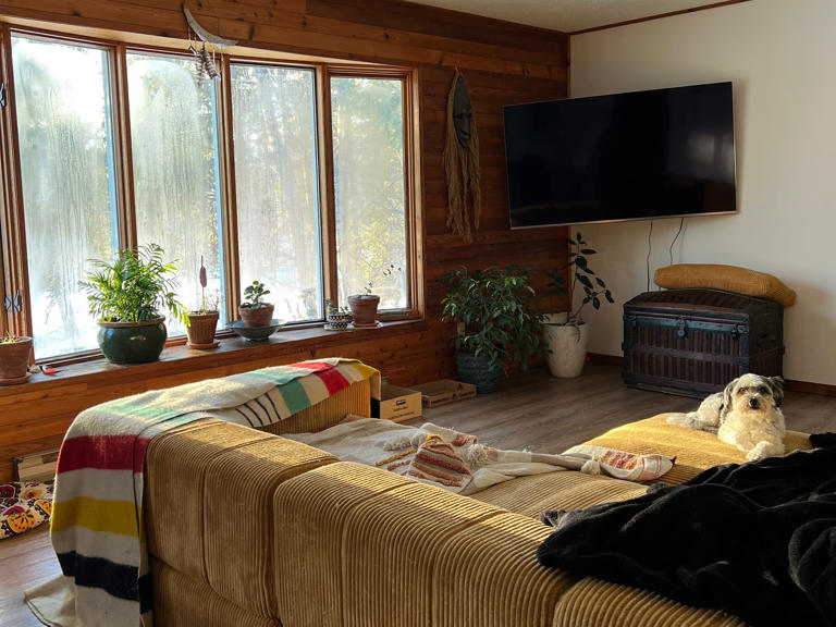 A Gen Xer sold her business, ditched the city, and moved to the woods ...