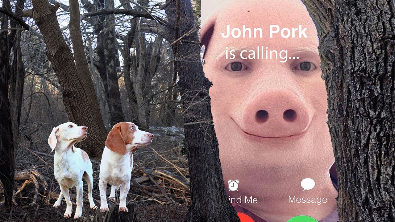 John Pork calls dogs from woods funny Maymo & friends prank