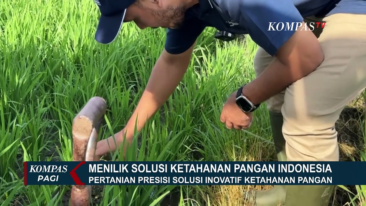Pertanian Presisi Jadi Solusi Inovatif Ketahanan Pangan Indonesia ...