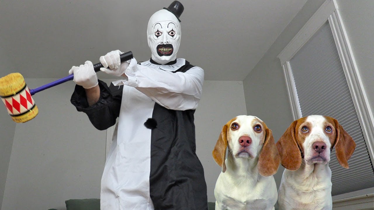 Dog reacts to Art the Clown sneaking into home