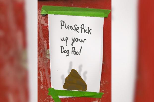 Jorvik Festival and giant Viking poo: 'It's poo week every week in York'