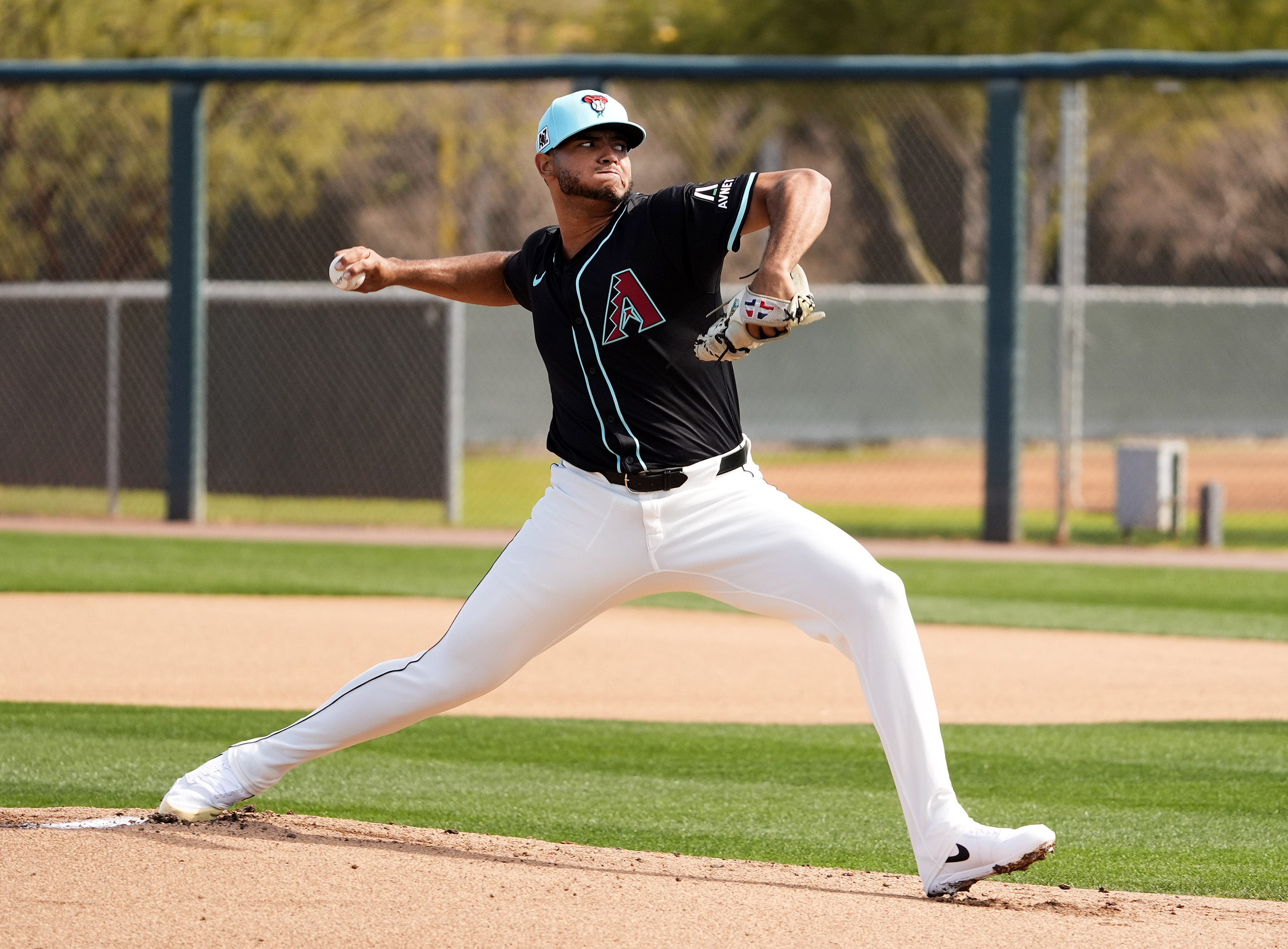 Arizona Diamondbacks prospect receives 80-game PED suspension