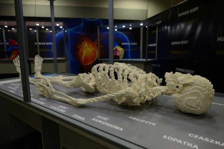 Mostra di costruzione di mattoncini Lego, la più grande in Europa: dove, quando e biglietti