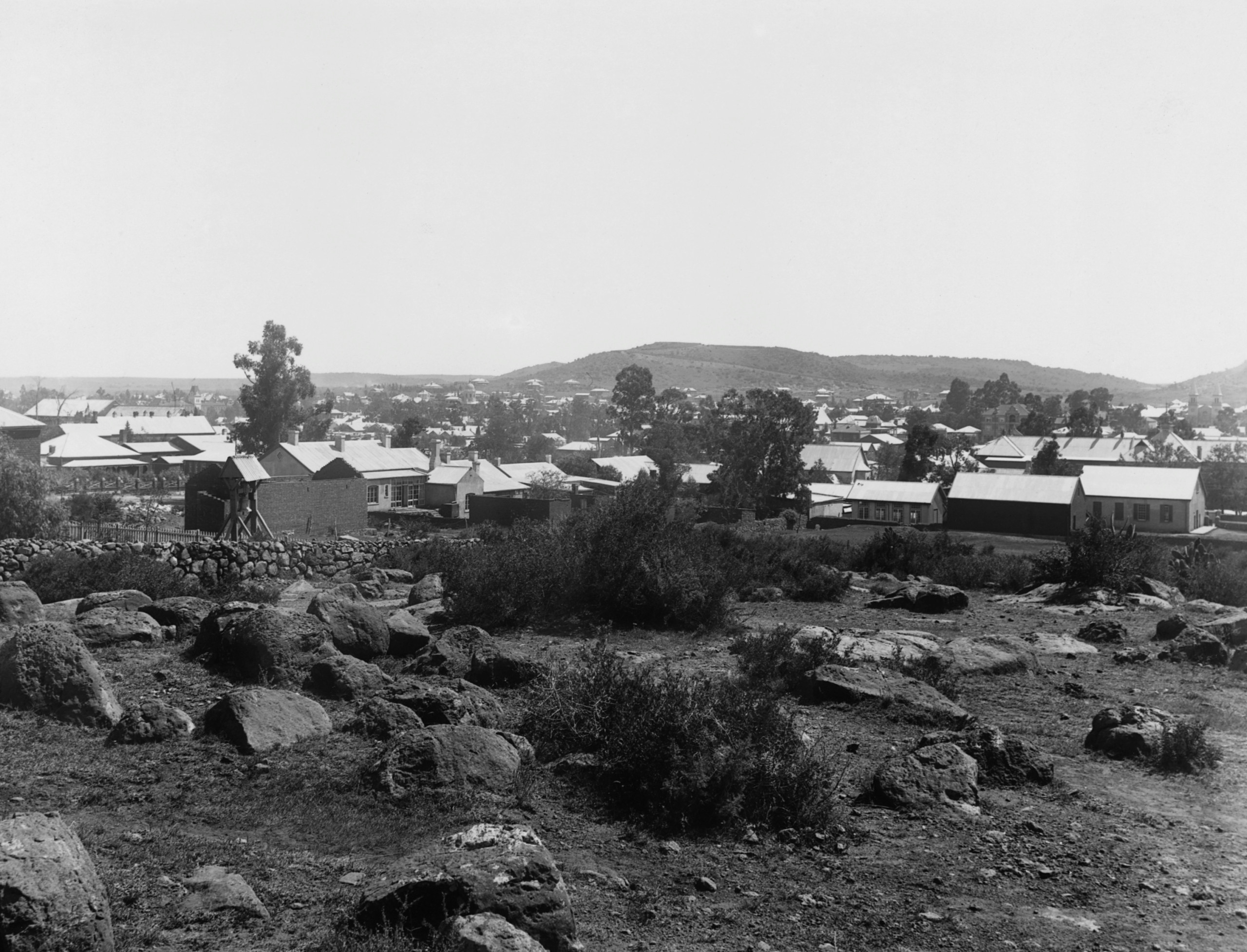 Interesting facts about J.R.R. Tolkien