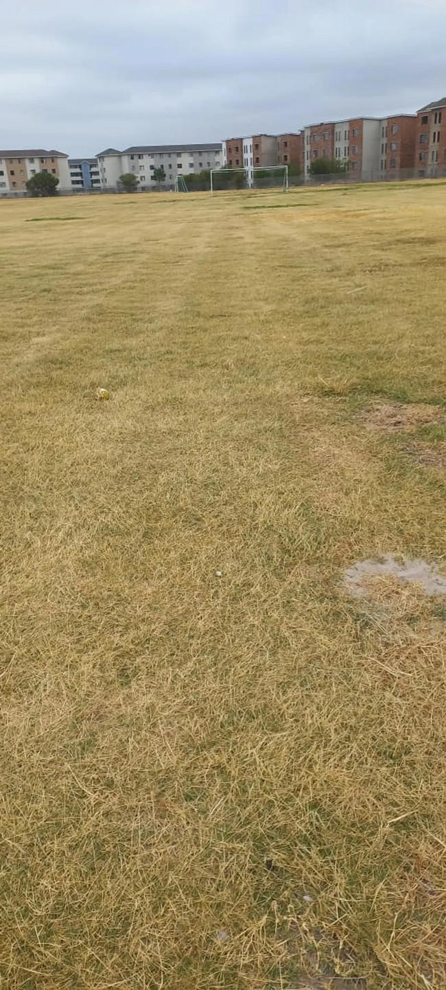 City fails to maintain Scottsdene sports ground