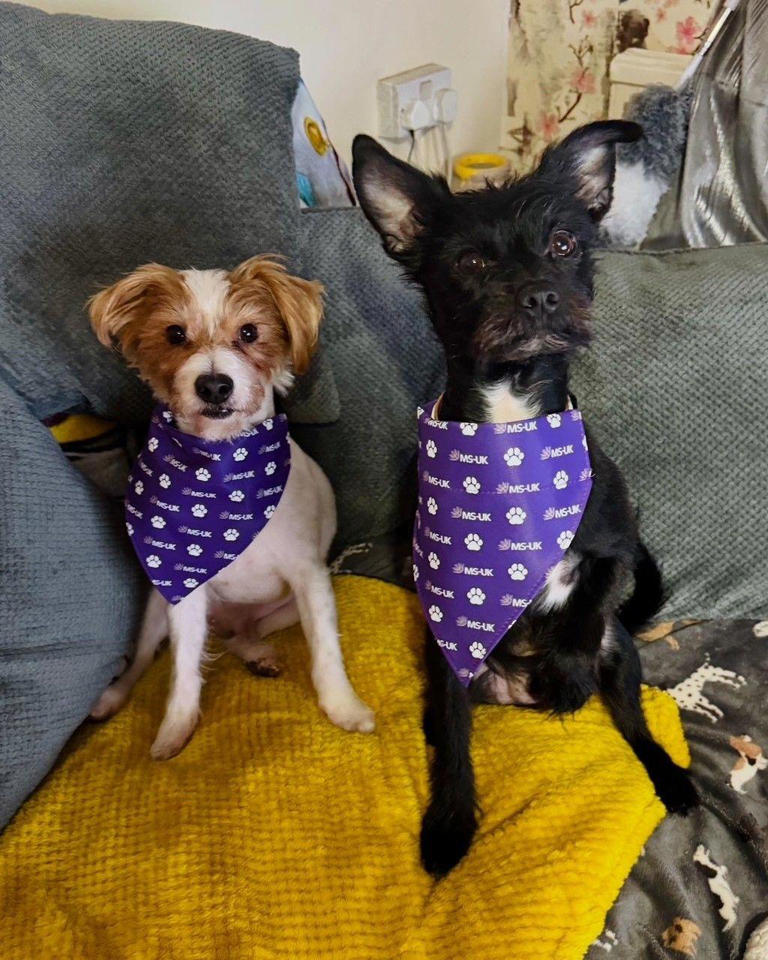 Romford woman with MS takes on charity dog walk challenge