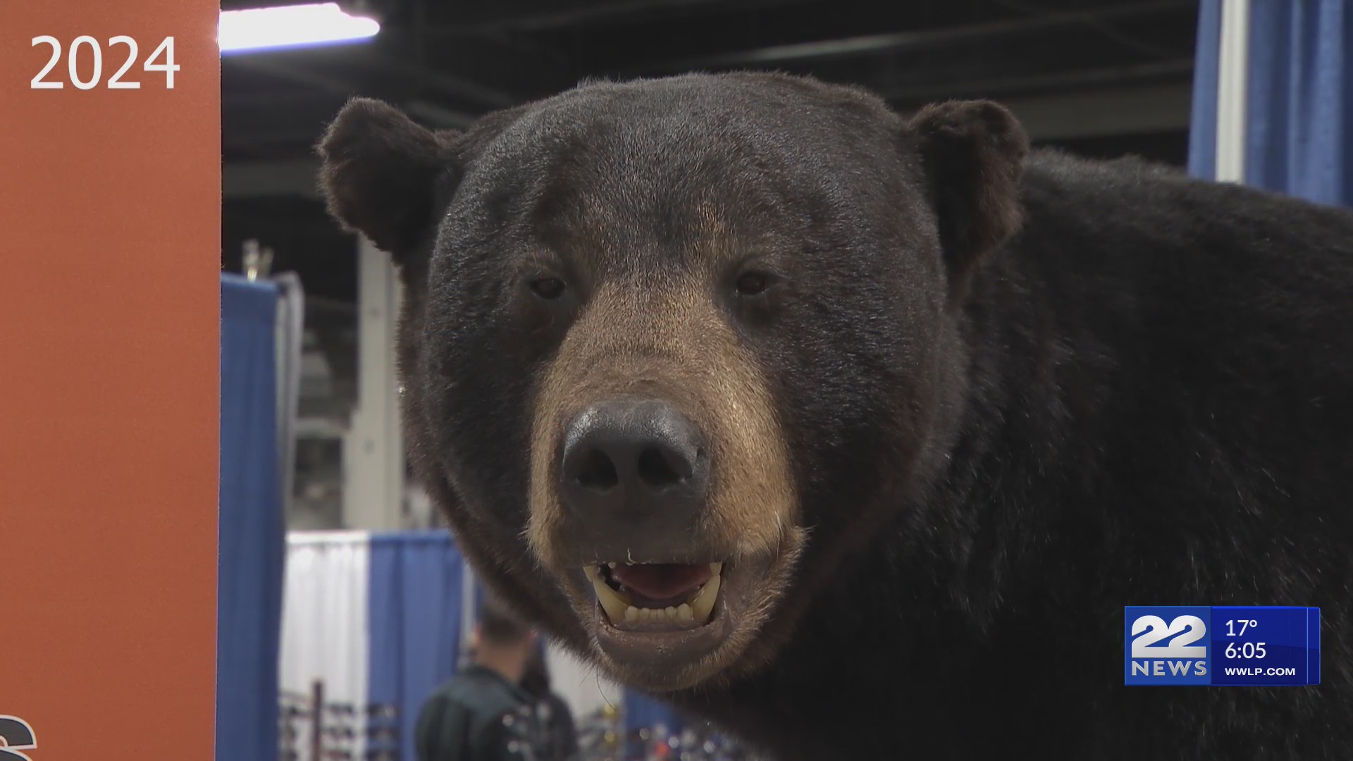 41st annual Springfield Sportsmen's Show this weekend