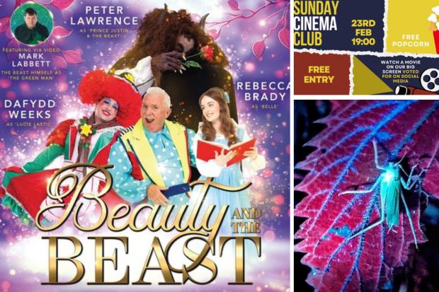 What's on in Gwent: Panto, outdoor adventure and movie club