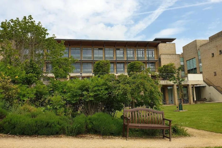 Surrey County Council award contract for A320 road improvements