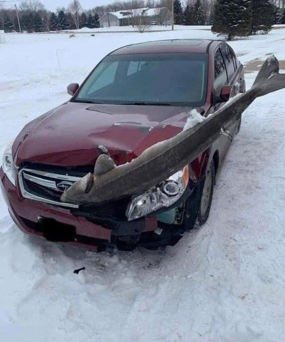 30 Ridiculous Rides From The "Messed Up Cars" Twitter Account