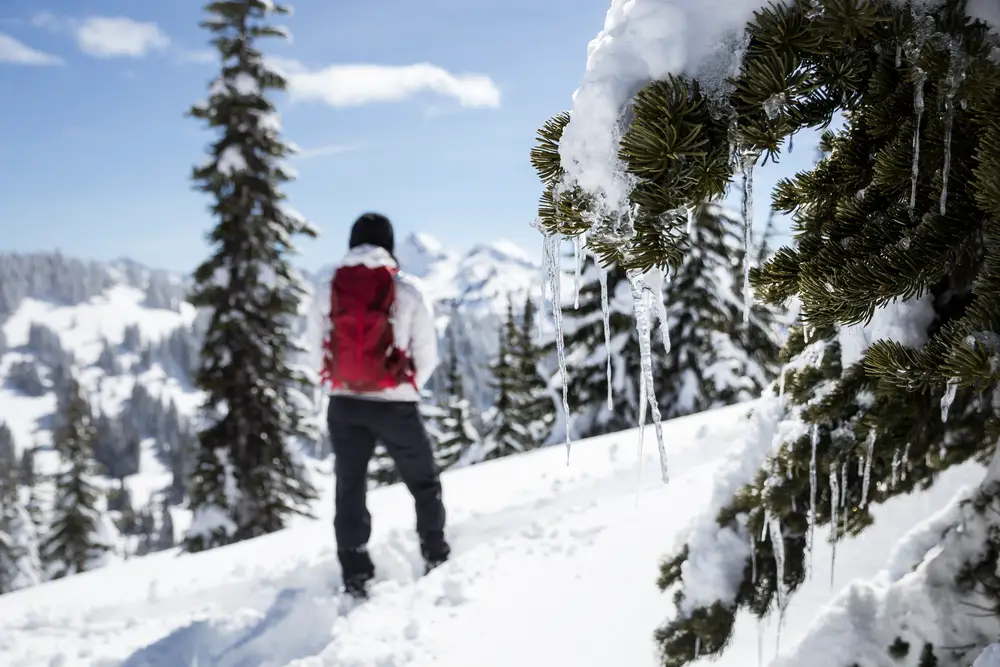 10 Real-Life Hiking Tragedies That Ended in Death