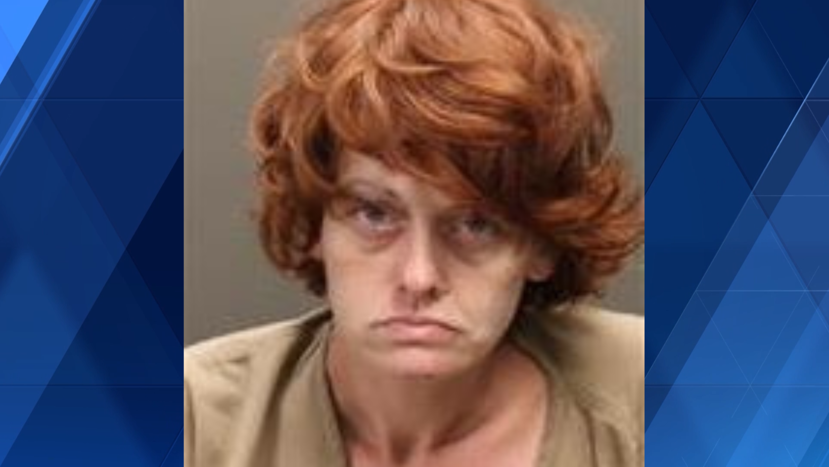 Ohio woman charged in 'serial killings' of men she met for sex sentenced
