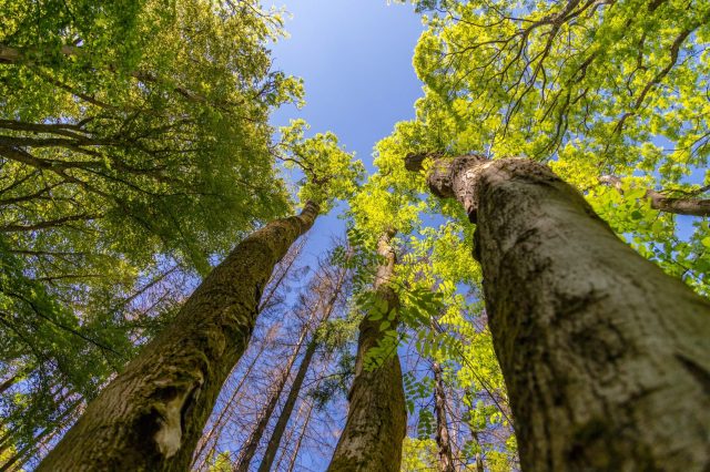 Researchers make breakthrough discovery after studying genetics of ...