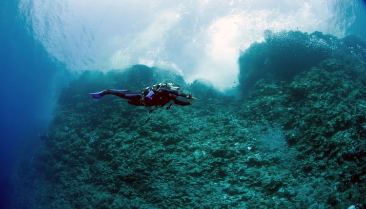 Scientists discover 'Death Pools' in the Red Sea - They may hold key to ...