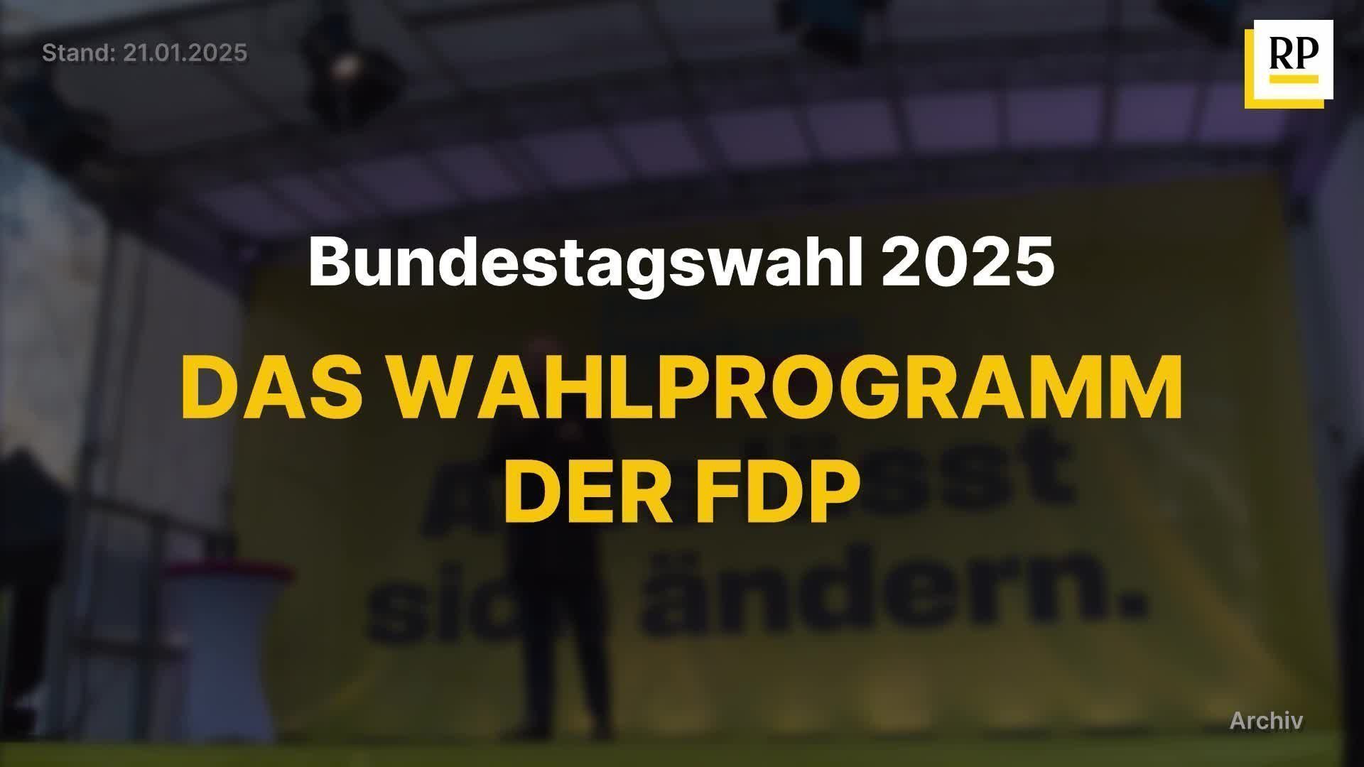 Bundestagswahl 2025: Das Wahlprogramm der FDP
