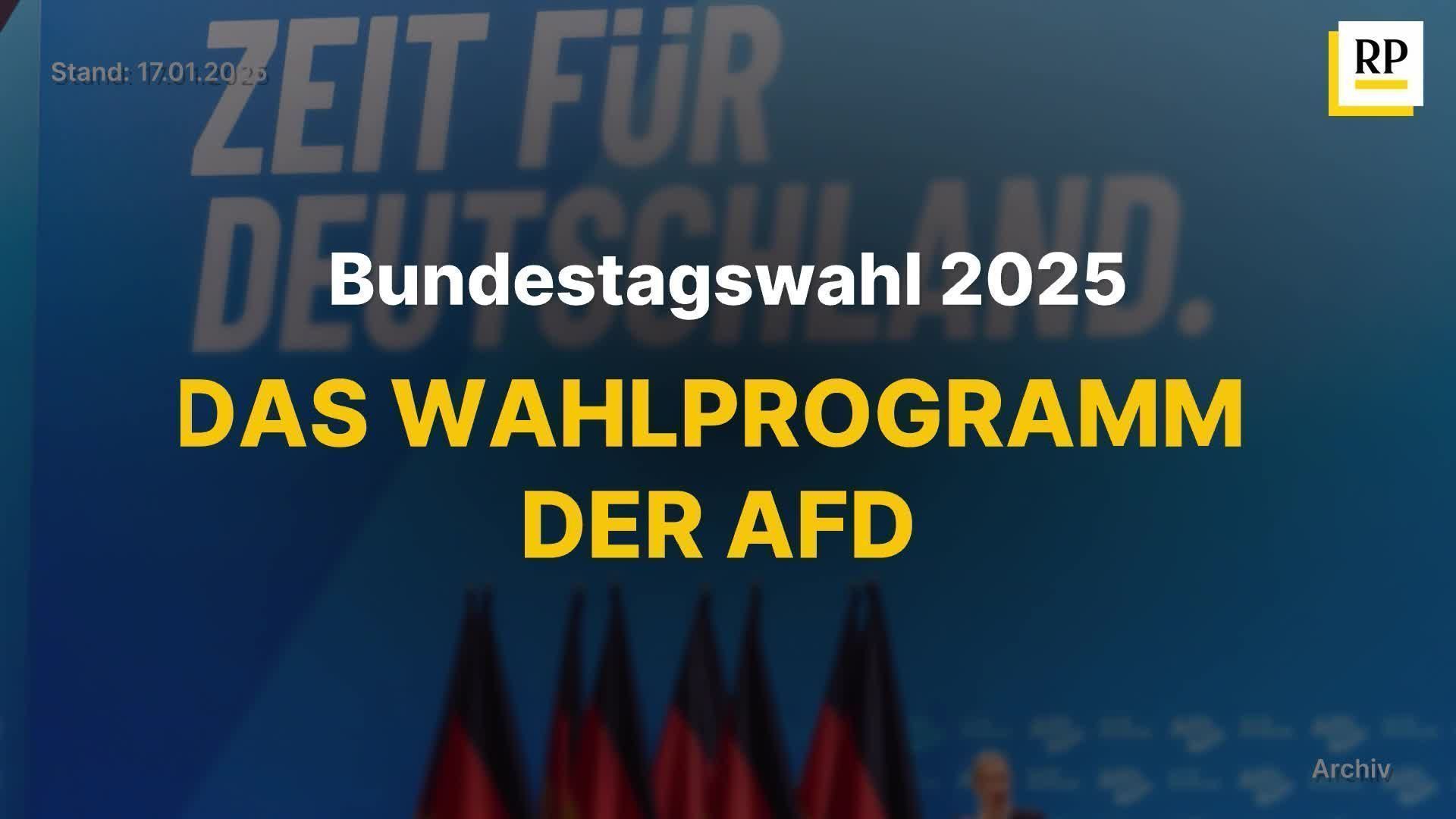 Bundestagswahl 2025: Das Wahlprogramm der AfD