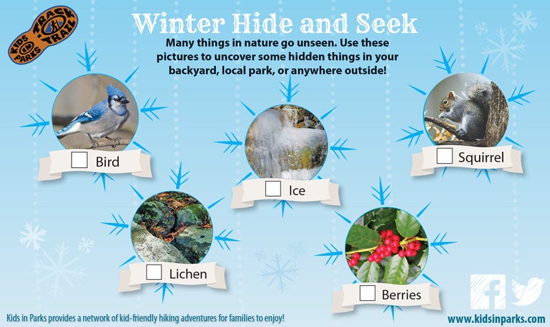 Tracktivity: Winter Hide and Seek - Many things in nature go unseen