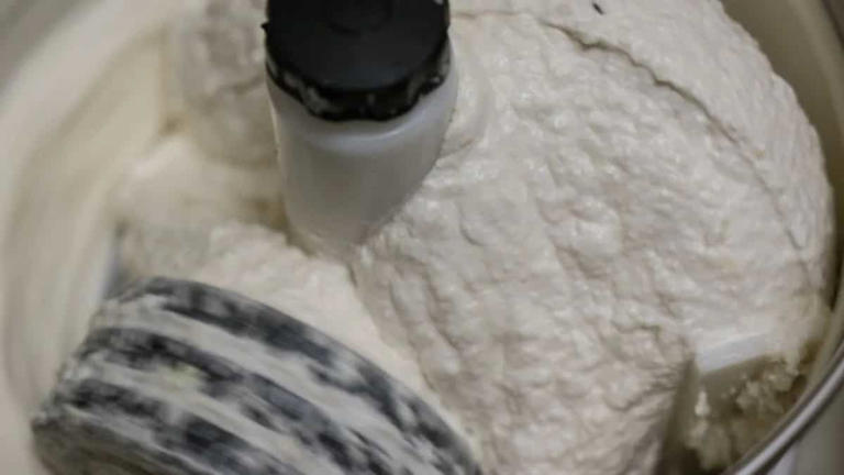 How To Ferment Batter Using A Wet Grinder