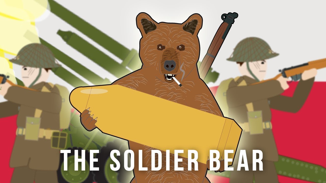 The Soldier Bear – WWII’s Strangest Hero