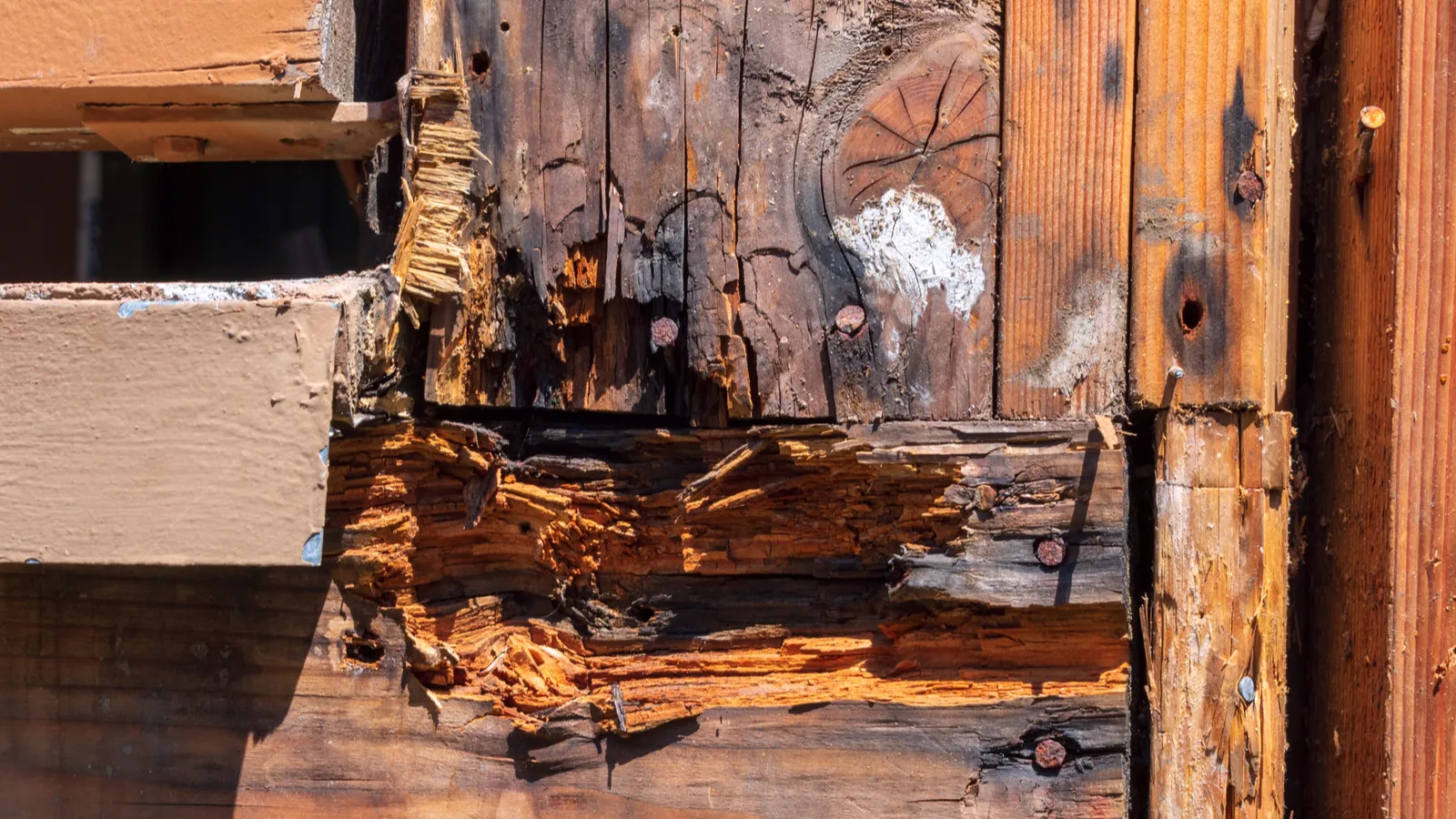 Tips to Repair Rotted Wood to Restore Strength (DIY)