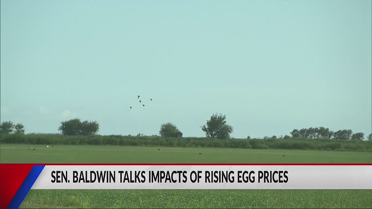 Tammy Baldwin reflects on egg prices