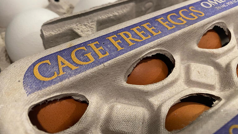 Egg prices hit record high amid bird flu outbreak