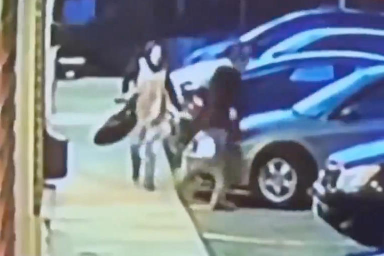 NJ pet-shop owner shot with crossbow believes silent attacker meant to ...