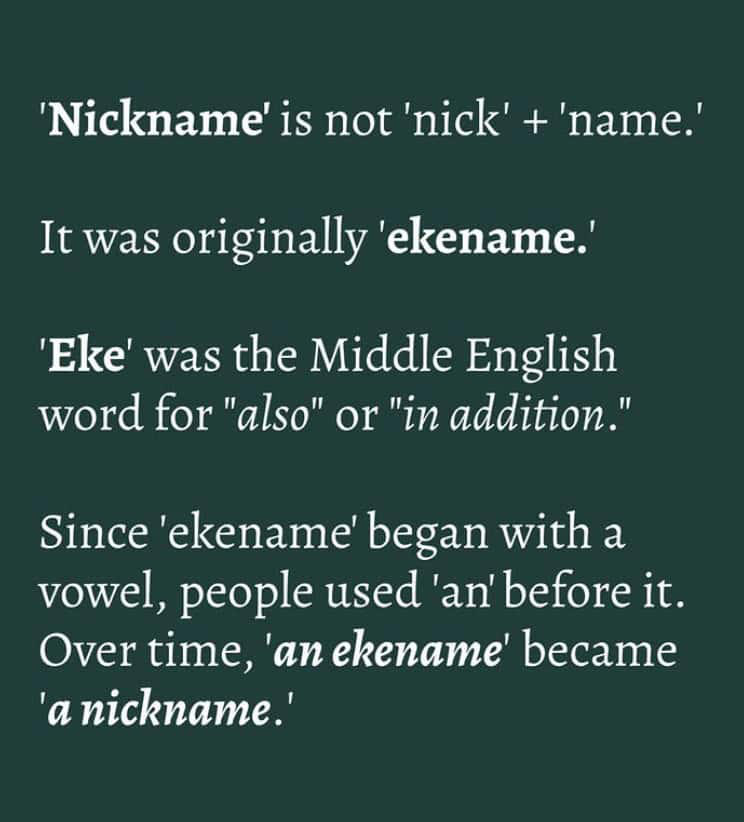 50 Clever and Hilarious Wordplay Memes From The 'The Language Nerds'