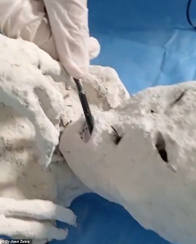 Experts studying 'alien mummies' make discovery in their nouths