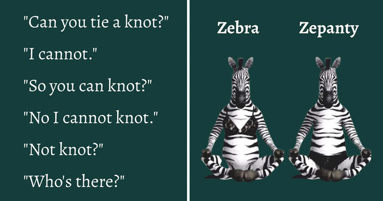 50 Clever and Hilarious Wordplay Memes From The 'The Language Nerds'