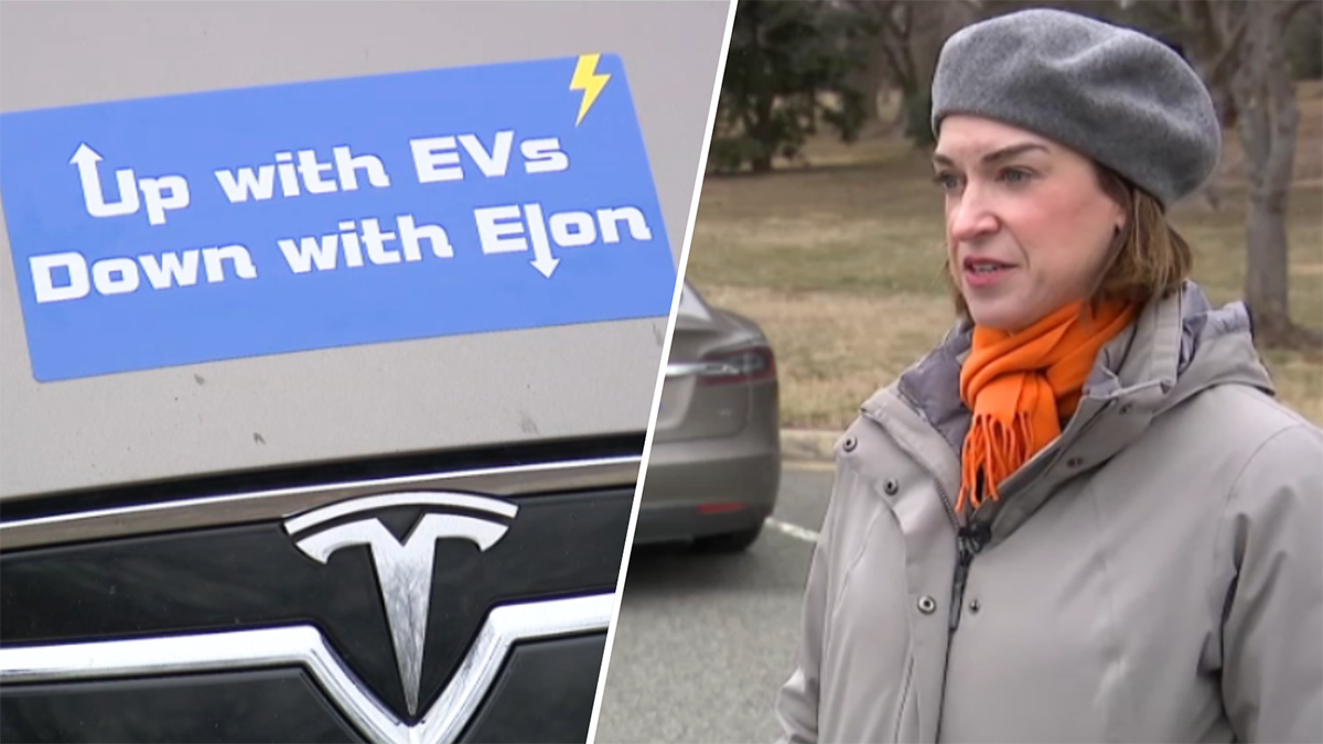 ‘Up with EVs, down with Elon': Why a Tesla driver hands out bumper stickers