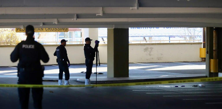 'I am so sorry,' Lower Sackville girl says at manslaughter sentencing