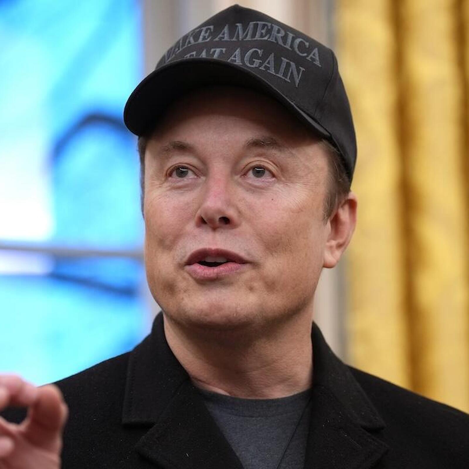 Elon Musk to be let inside Fort Knox to inspect gold reserves