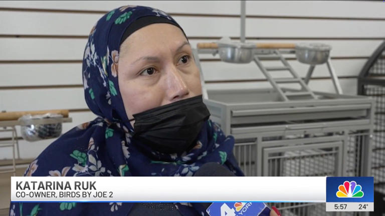 NJ pet-shop owner shot with crossbow believes silent attacker meant to ...