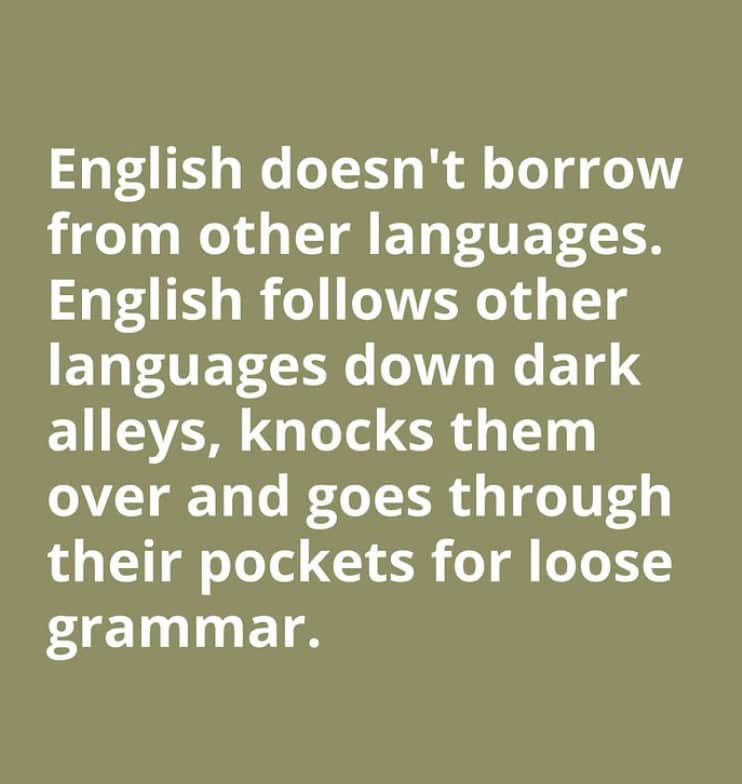 50 Clever and Hilarious Wordplay Memes From The 'The Language Nerds'