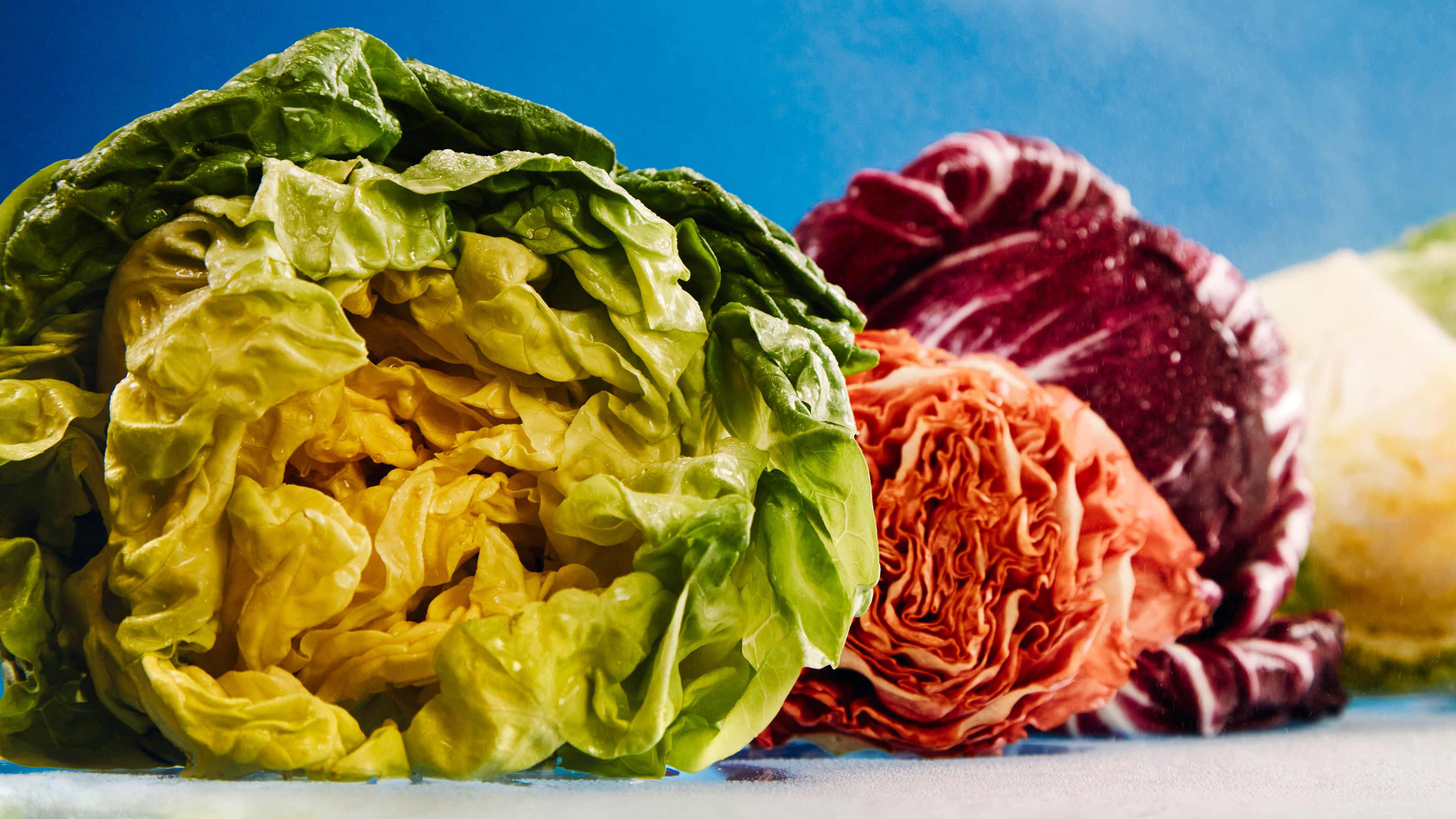 14 Types of Lettuce and What to Do With Them