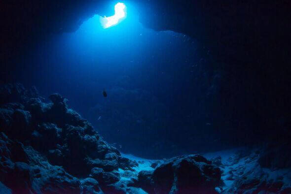 Red Sea discovery amazes scientists as undisturbed part of planet found