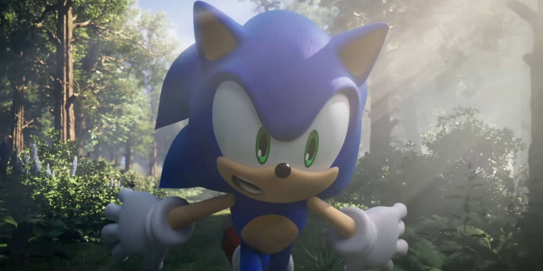 The Sonic Franchise Should Dip its Toes Back into a Genre it's Only ...