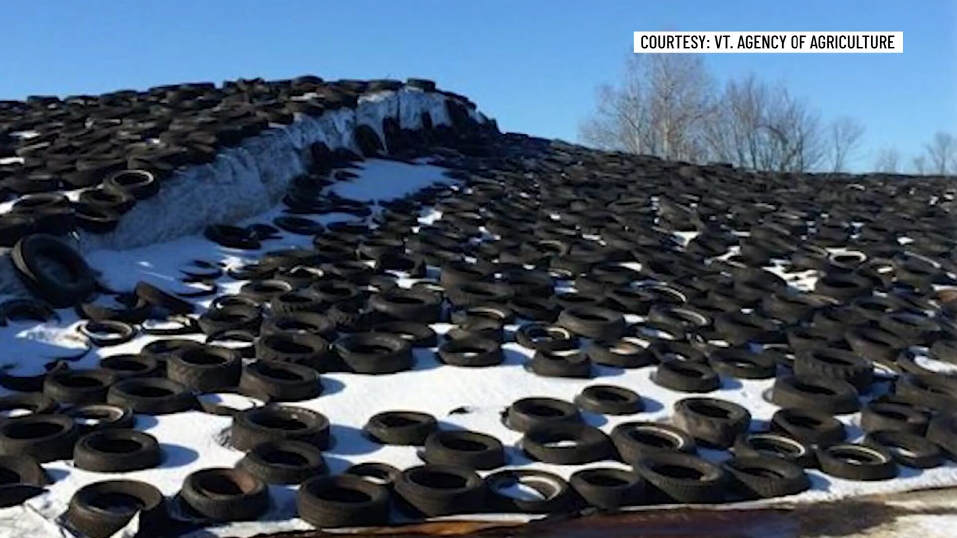 Vermont farms battle mosquito breeding grounds