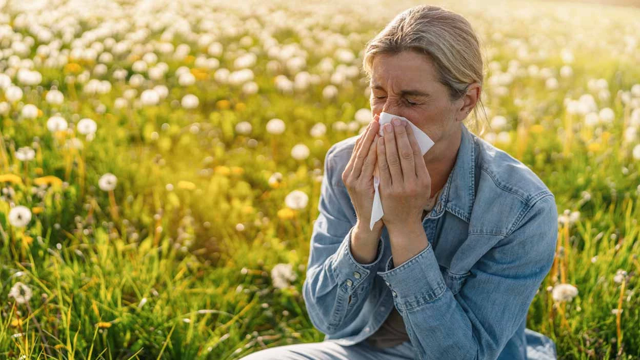 Allergie aux pollens : la Seine-et-Marne en alerte rouge