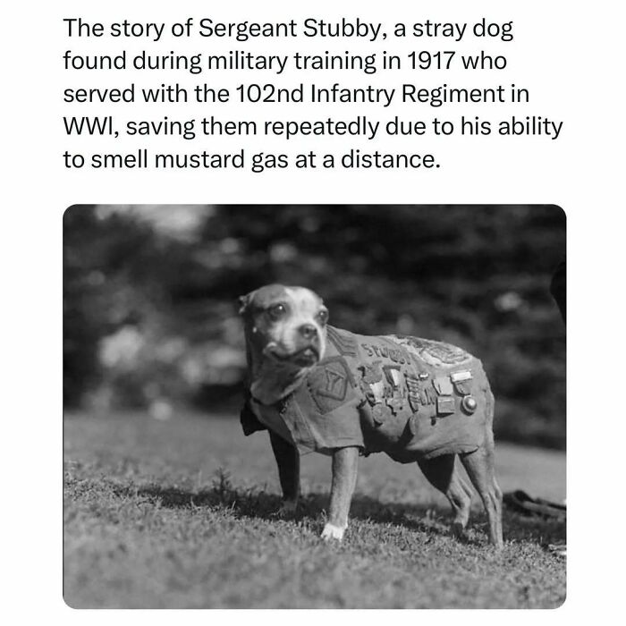 “Past Preserved”: 50 Interesting Historical Facts