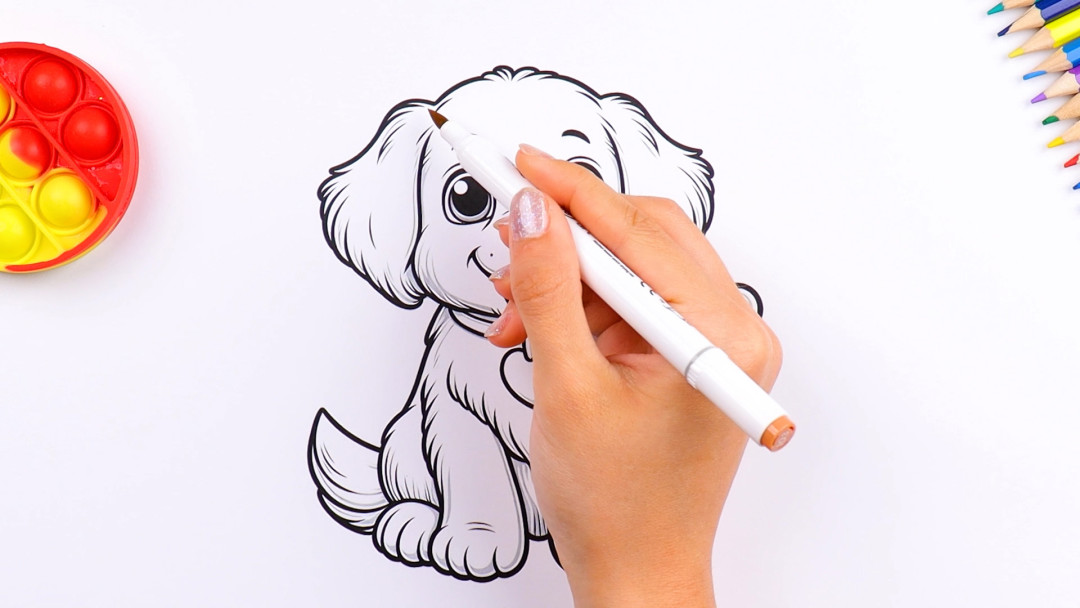Easy Puppy drawing and coloring Fun