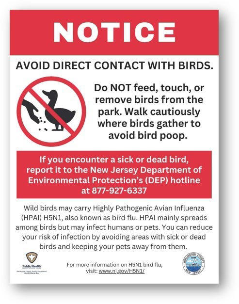 First bird flu case detected in Burlington County: How to prevent ...