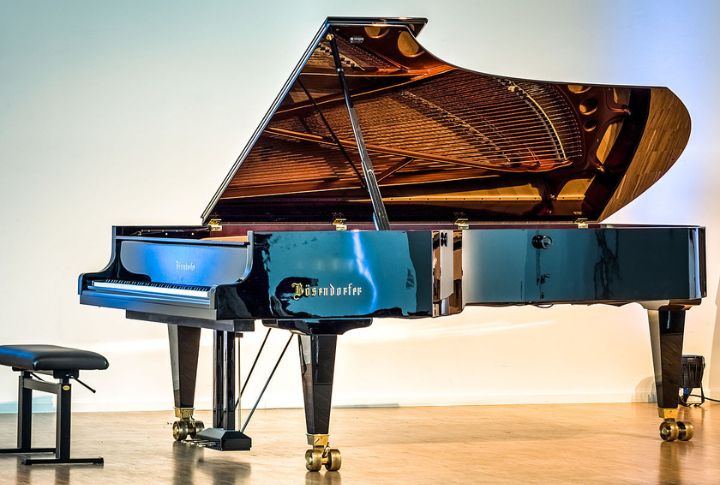 10 High-Value Instruments In The Music World