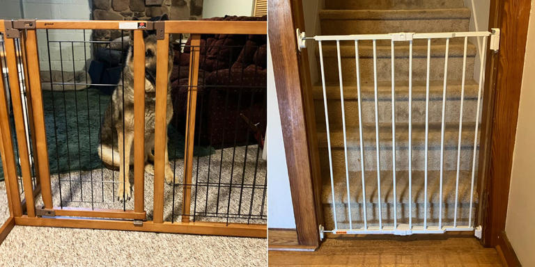 The 5 best dog gates of 2025, tested and reviewed